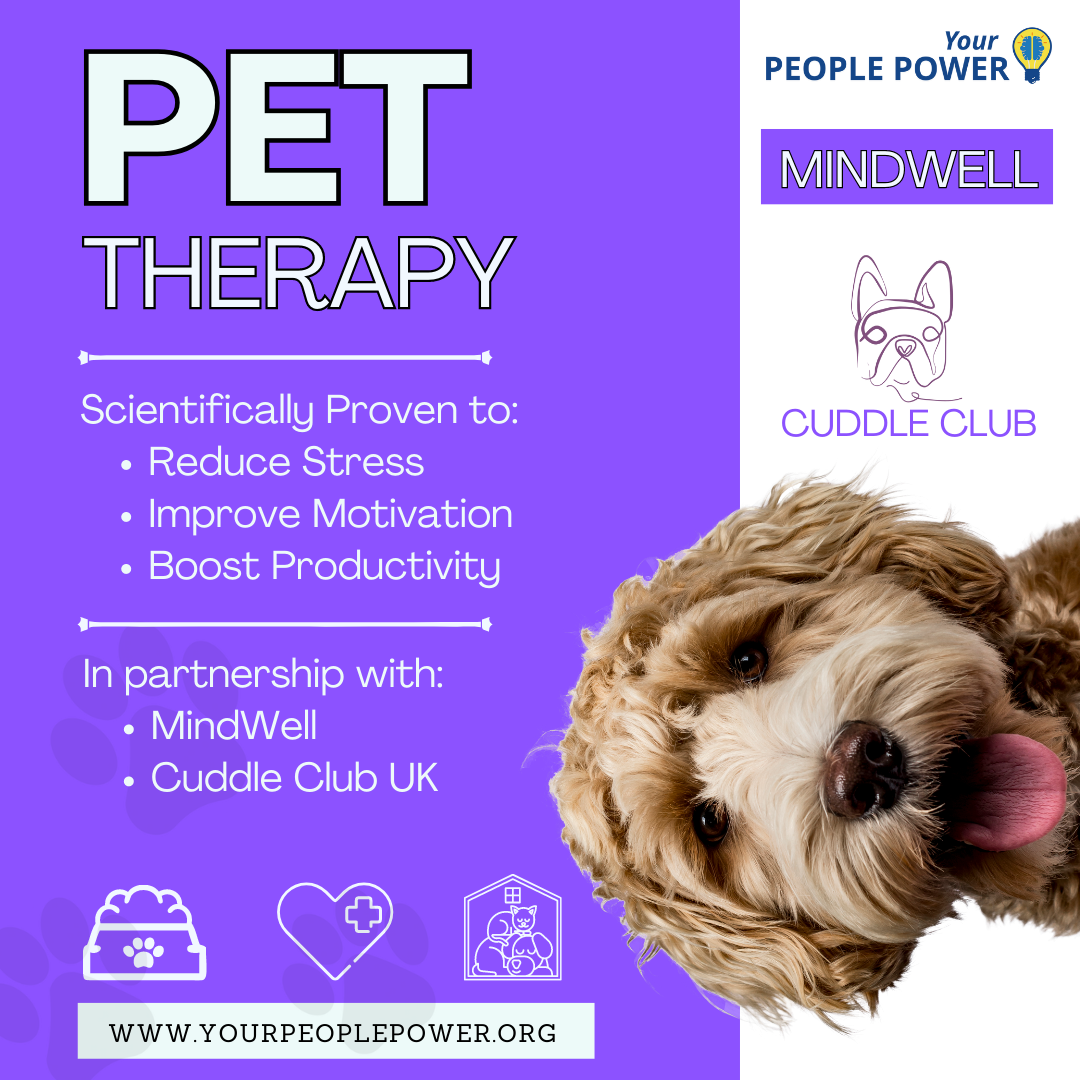 Pet Therapy in the Workplace: Unleashing Employee Potential